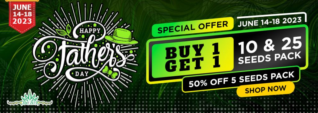 Buy Marijuana Seeds | Cannabis Seeds For Sale | Best Cannabis Bud Depot