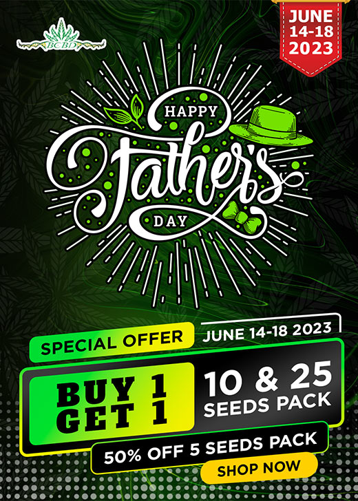 Buy Marijuana Seeds | Cannabis Seeds For Sale | Best Cannabis Bud Depot