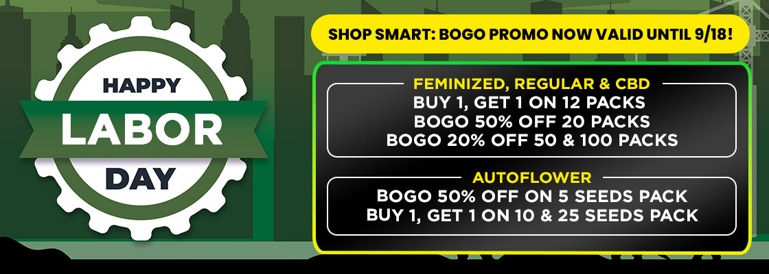 Buy Marijuana Seeds | Cannabis Seeds For Sale | Best Cannabis Bud Depot