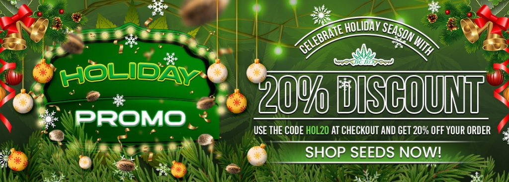 Buy Marijuana Seeds | Cannabis Seeds For Sale | Best Cannabis Bud Depot