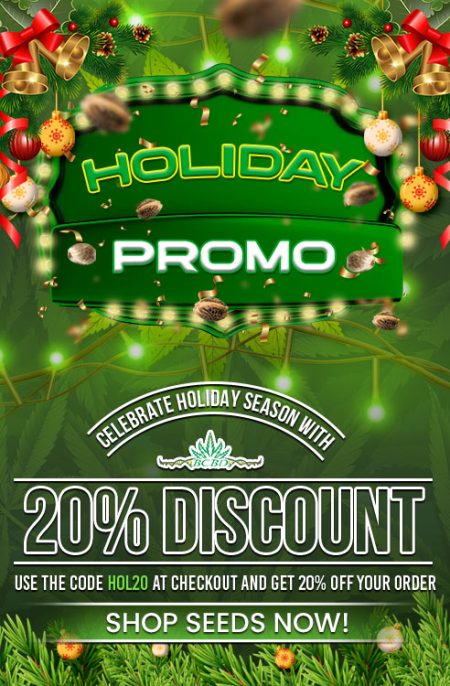 Buy Marijuana Seeds | Cannabis Seeds For Sale | Best Cannabis Bud Depot