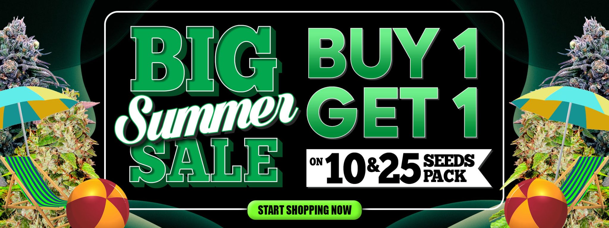 Buy Marijuana Seeds | Cannabis Seeds For Sale | Best Cannabis Bud Depot