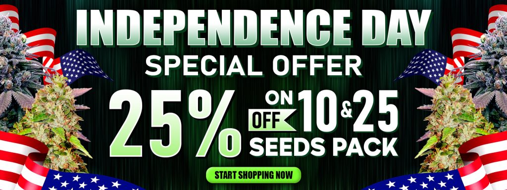Buy Marijuana Seeds | Cannabis Seeds For Sale | Best Cannabis Bud Depot