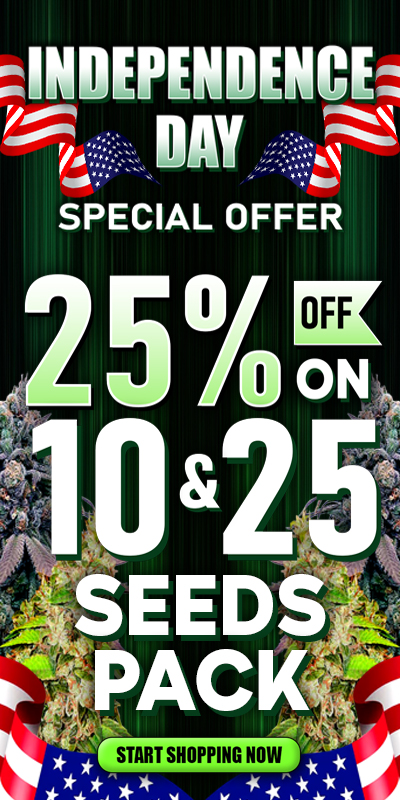 Buy Marijuana Seeds | Cannabis Seeds For Sale | Best Cannabis Bud Depot