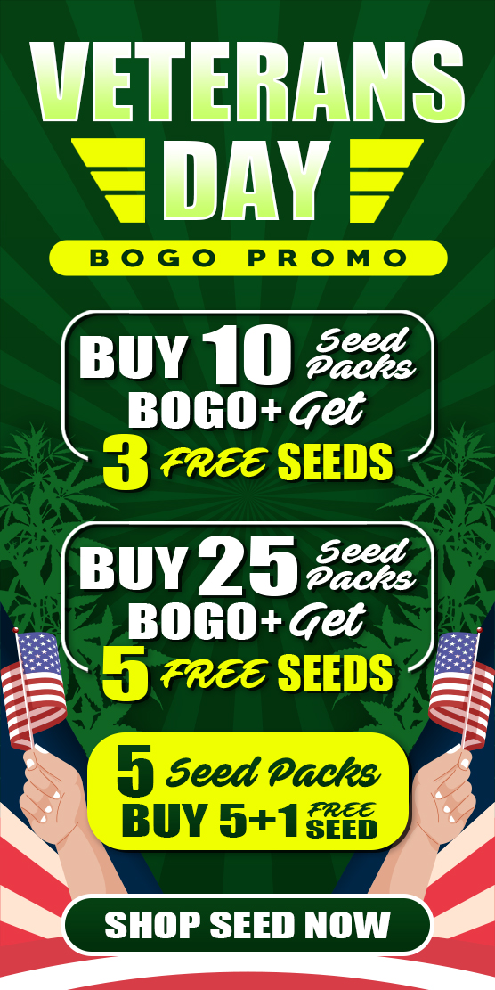 Buy Marijuana Seeds | Cannabis Seeds For Sale | Best Cannabis Bud Depot