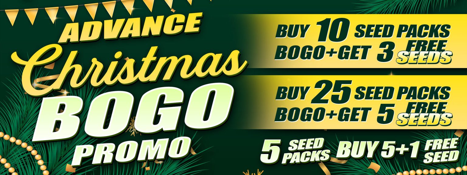 Buy Marijuana Seeds | Cannabis Seeds For Sale | Best Cannabis Bud Depot