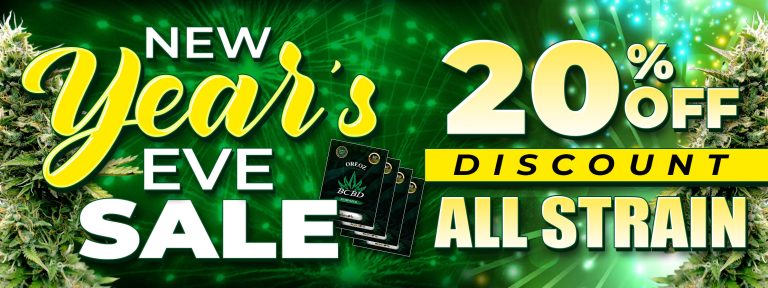 Buy Marijuana Seeds | Cannabis Seeds For Sale | Best Cannabis Bud Depot