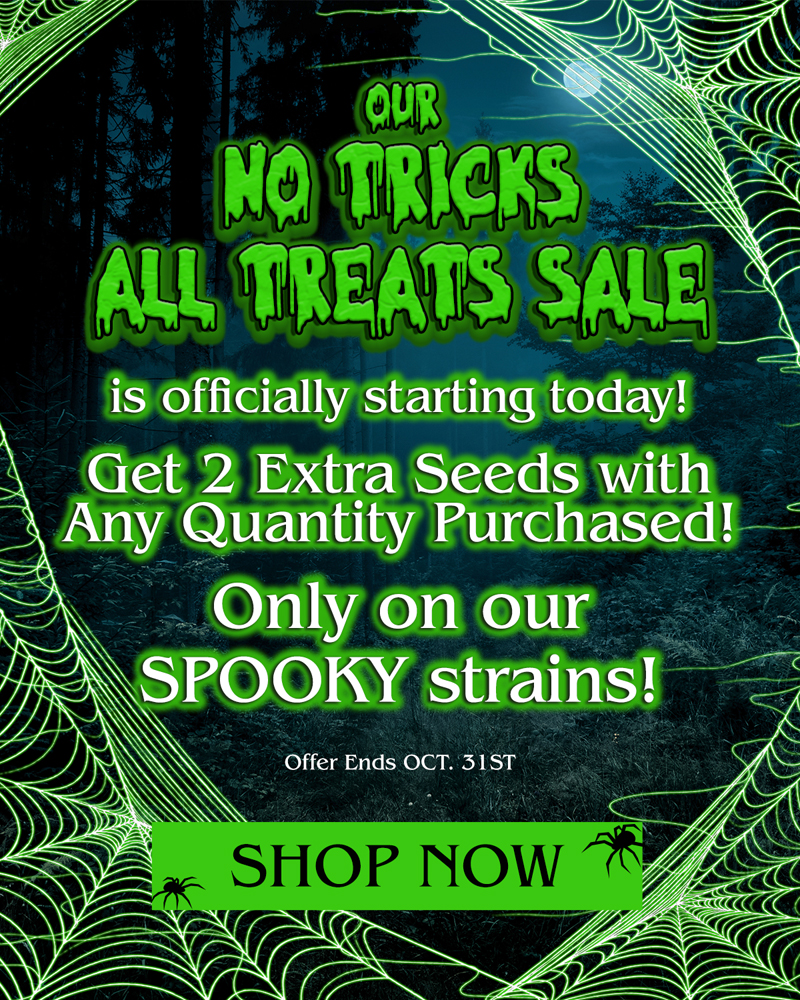 Buy Marijuana Seeds | Cannabis Seeds For Sale | Best Cannabis Bud Depot